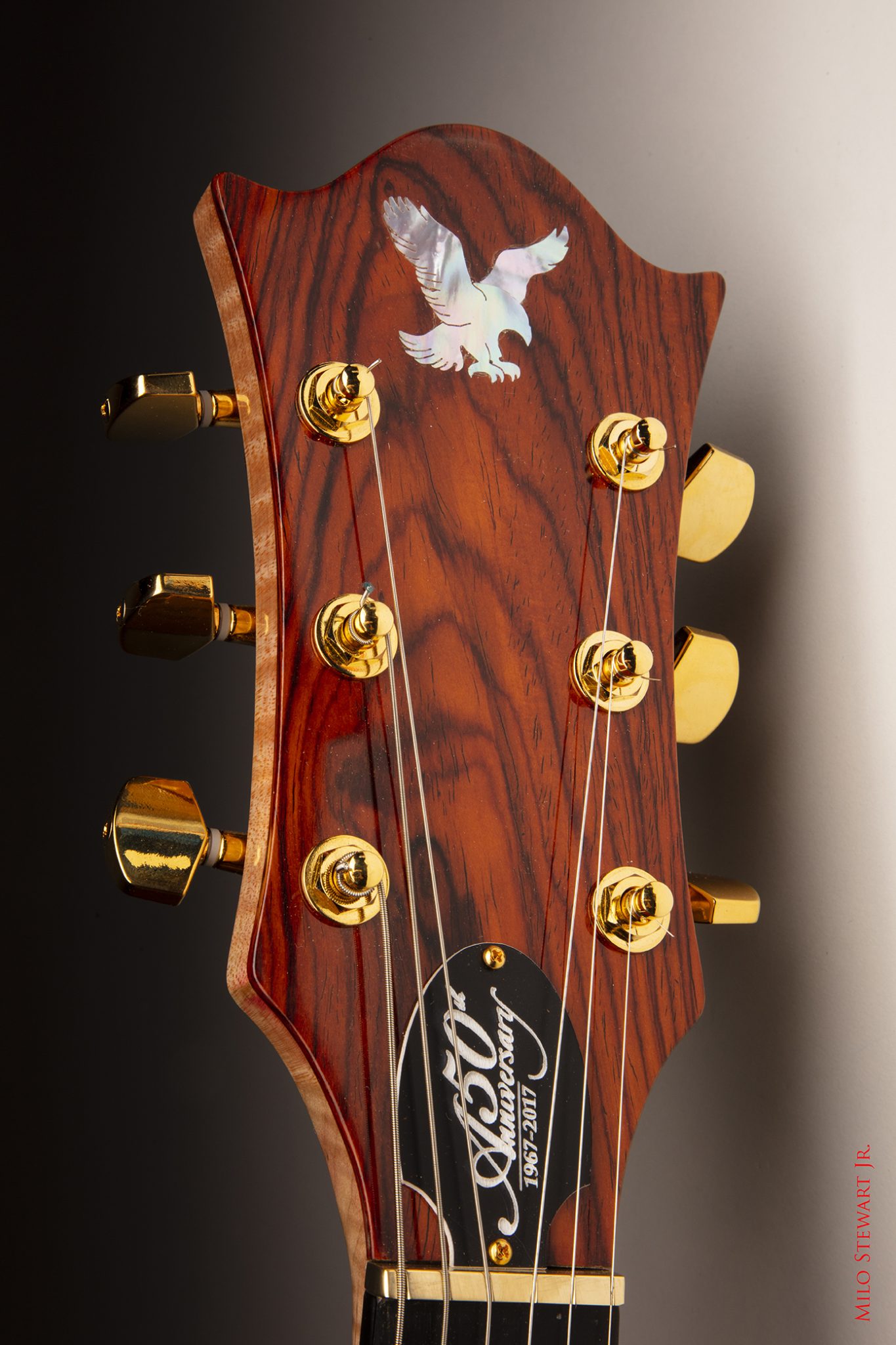 Coco Tiger | A Distinctive Flat-top Version of The Garcia